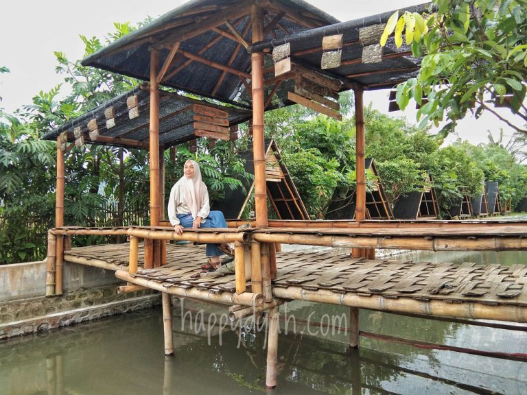 D'Embung Park Tajinan Malang, Wisata Edukasi Bayar HTM Seikhlasnya ...